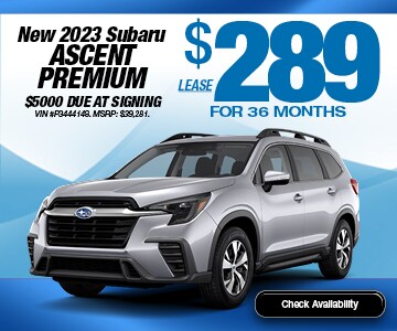 Concordville Subaru & Used Car Dealership in Glen Mills, PA