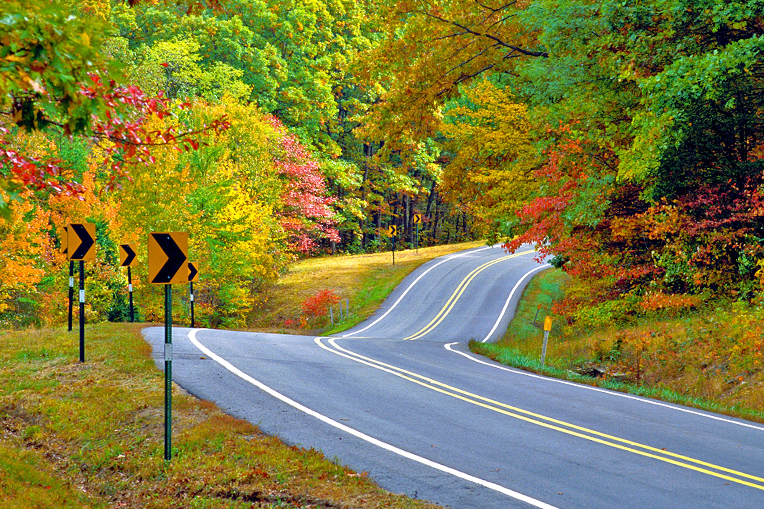 Best Fall Color Drives In Arkansas