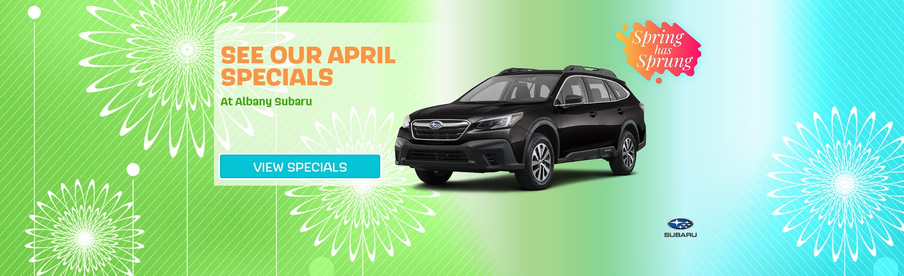 Albany Subaru | New Subaru & Used Car Dealer | Berkeley & Richmond CA