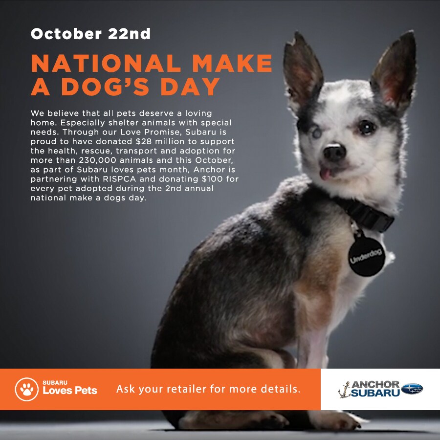 National Make a Dogs Day | Anchor Subaru