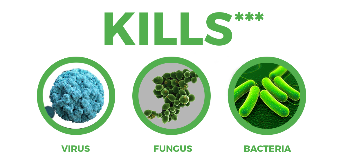 BioPledge® AntiMicrobial Protection (AMP)™ | Only $39.95