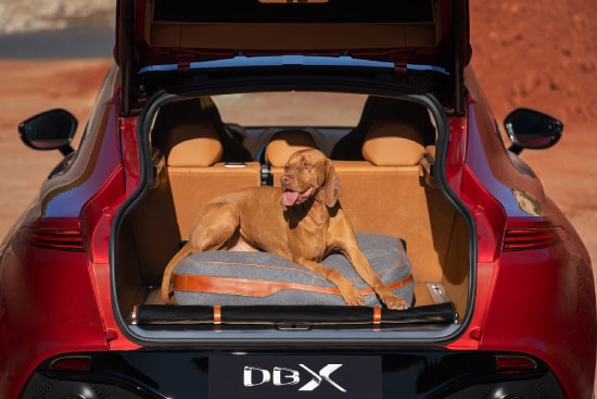 Austin Aston Martin of Austin | New & Used Aston Martin Cars