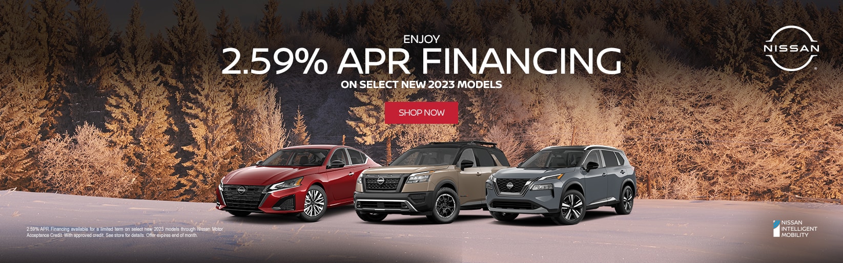 AutoNation Nissan Miami | South Florida Nissan Dealer