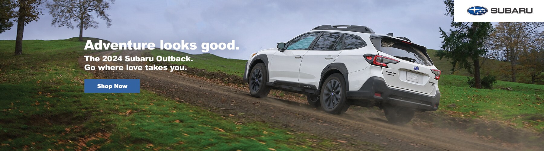 AutoNation Subaru Hilton Head | South Carolina Subaru Dealer