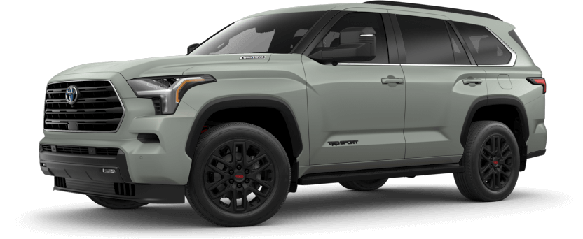 Toyota Sequoia Colors | AutoNation Toyota Arapahoe
