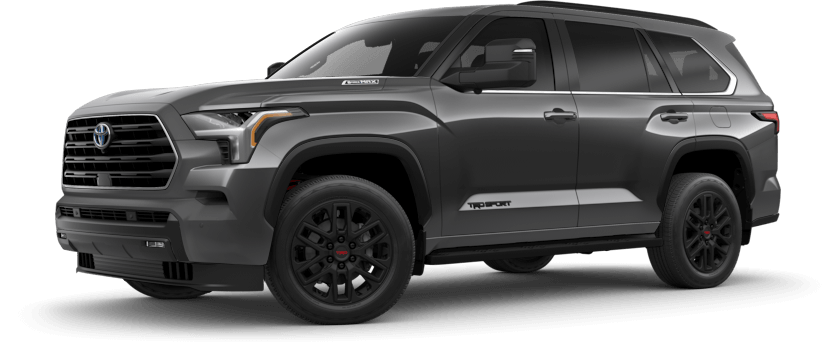 Toyota Sequoia Colors | AutoNation Toyota Gulf Freeway