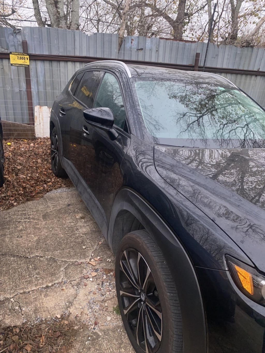 Used 2025 Mazda CX-50 For Sale at AVIS Car Sales | VIN: 7MMVABEM0SN369005