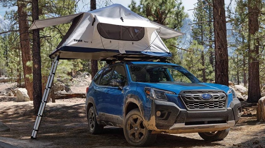 2022 Subaru Wilderness Editions | Balise Subaru