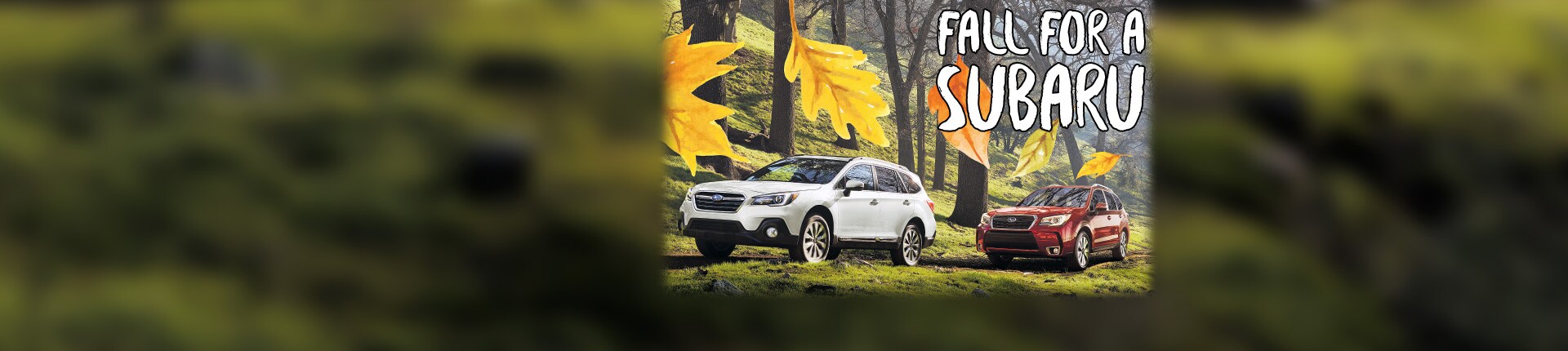 Subaru Dealership in Innisfil, Ontario | Barrie Subaru