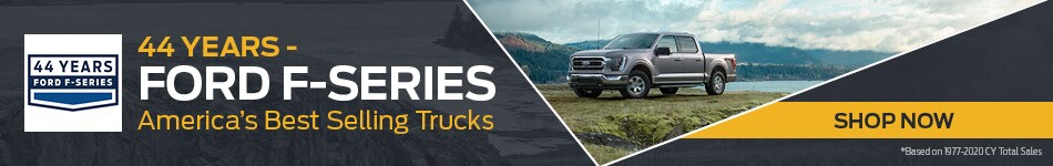 NEW INVENTORY | Bayside Ford