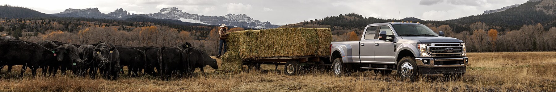 Lifted Trucks & Custom Vehicles in Baytown | Baytown Ford