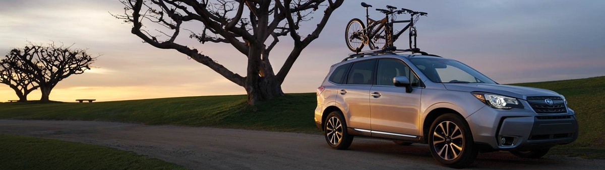 Subaru Dealer La Vista Area | Beardmore Subaru Serving La Vista