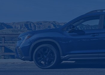 Subaru Dealer MA |Bertera Subaru of West Springfield, MA.