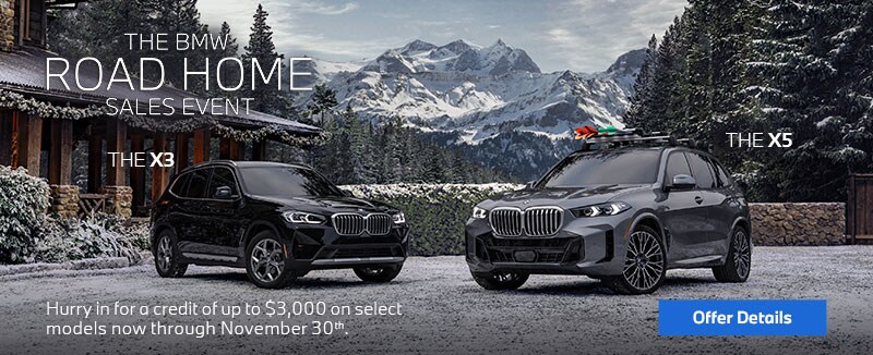Bmw Rental Car Sales