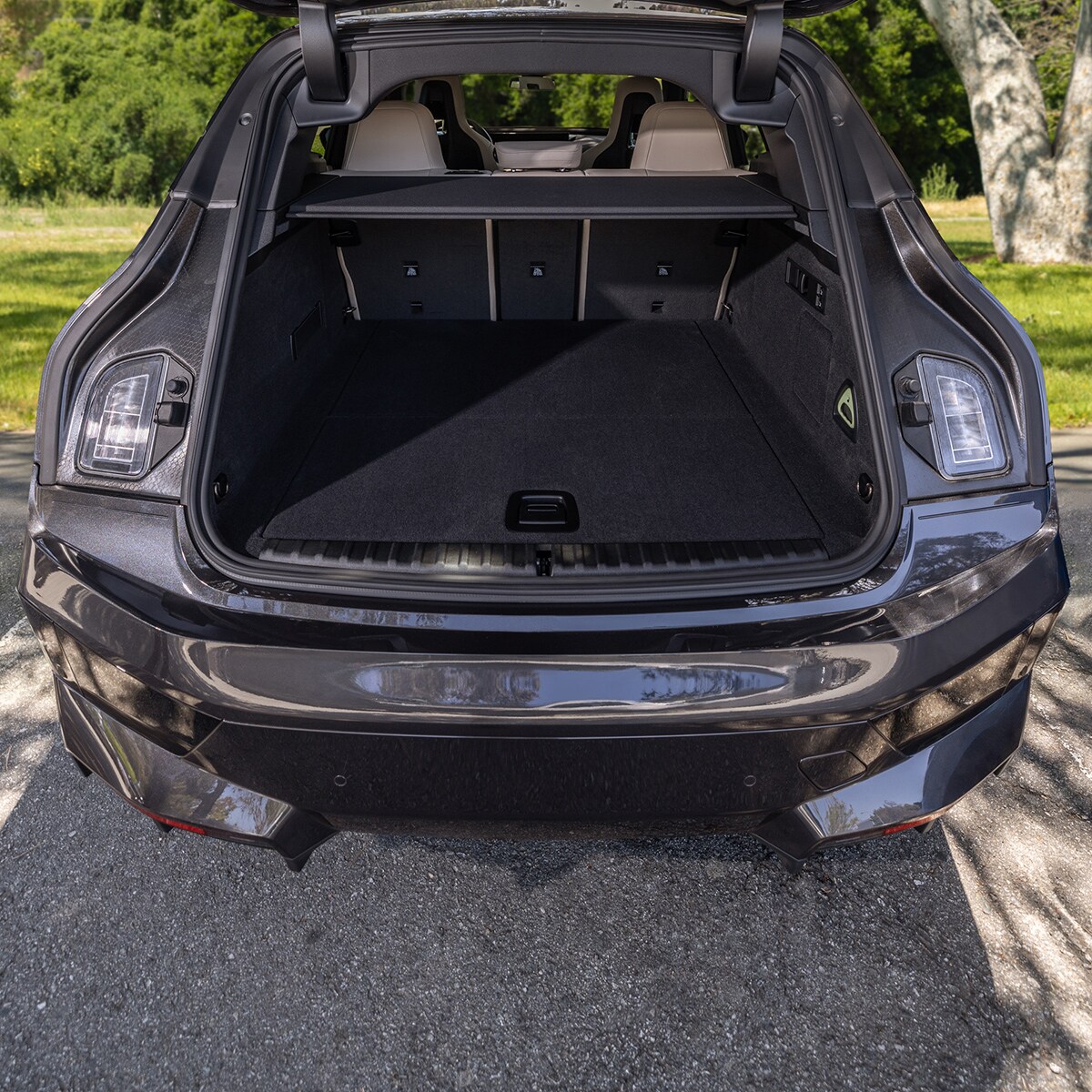 2025 BMW iX xDrive50: 5 Things You Must Know