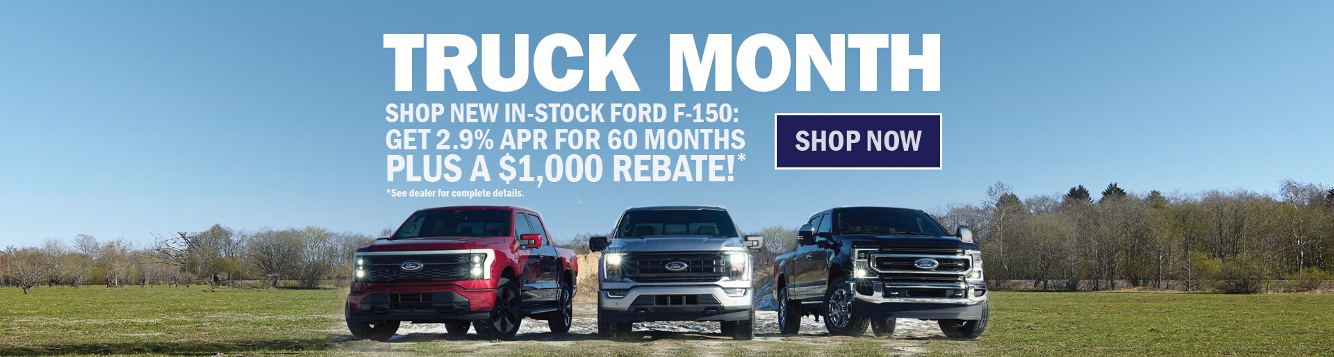 Borgman Ford
