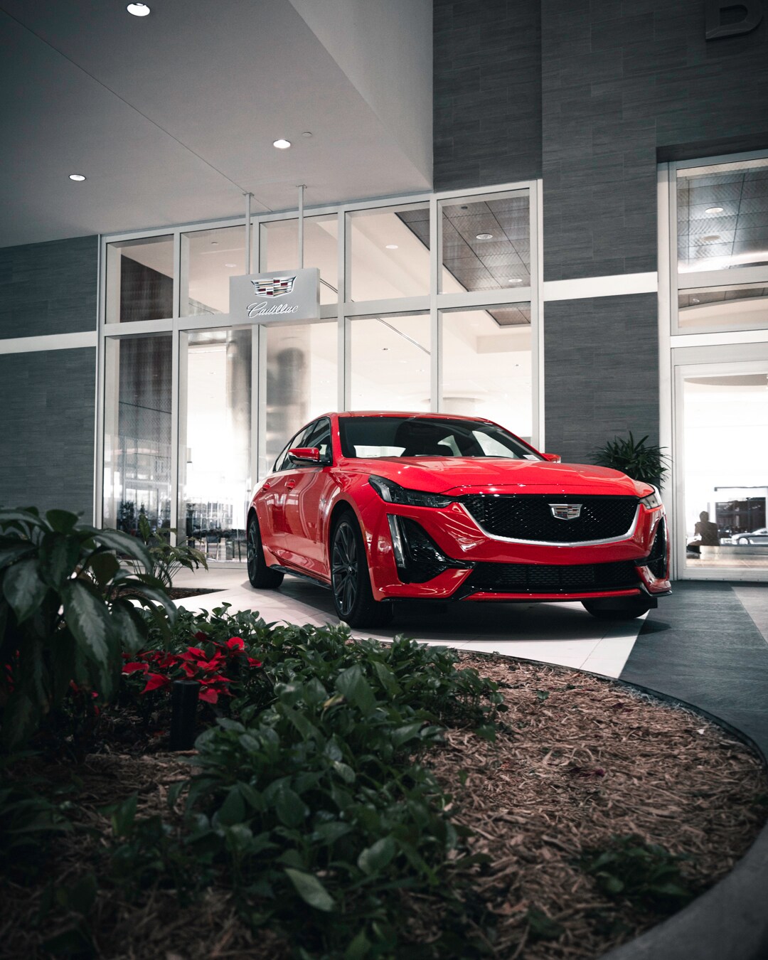 Braman Cadillac | Cadillac Dealer in Miami FL | Used Cars