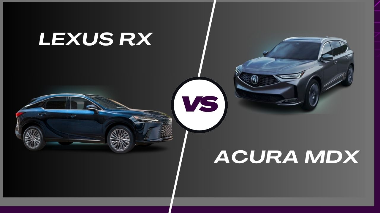 Lexus RX vs Acura MDX | Butler Lexus