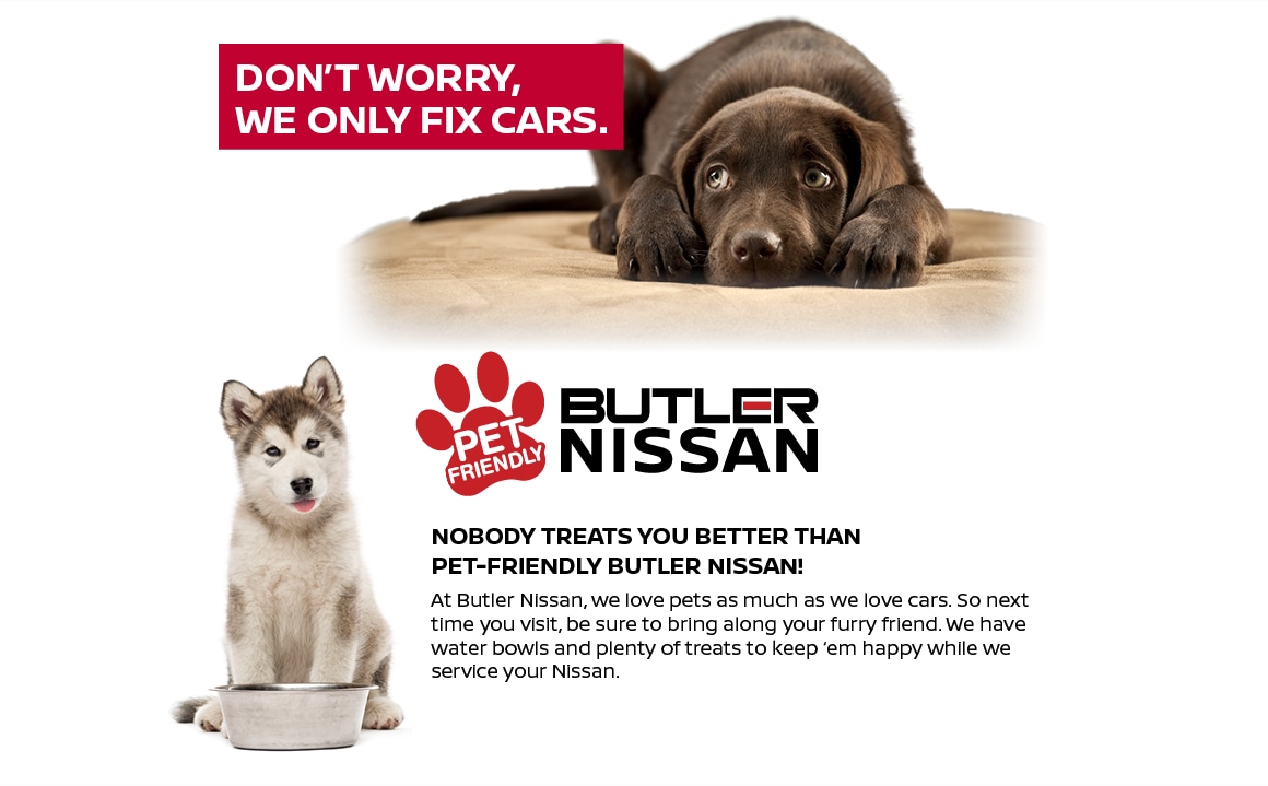 Pet-Friendly | Butler Nissan