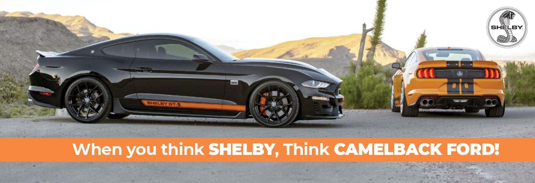Ford Shelby Dealership | Ford Sports Cars for Sale | Phoenix, AZ