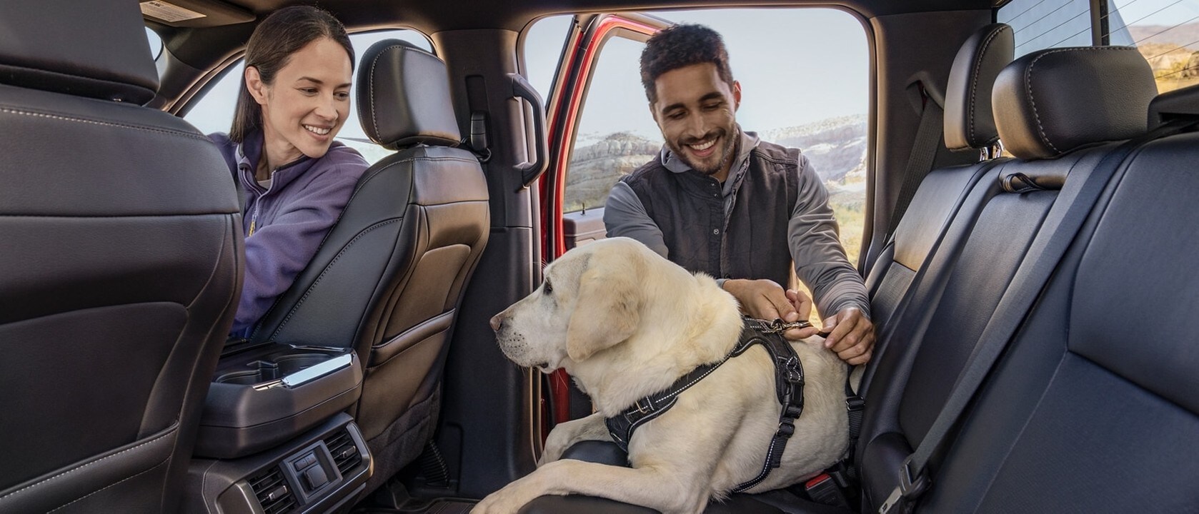 New Ford F-150 | Candy Ford