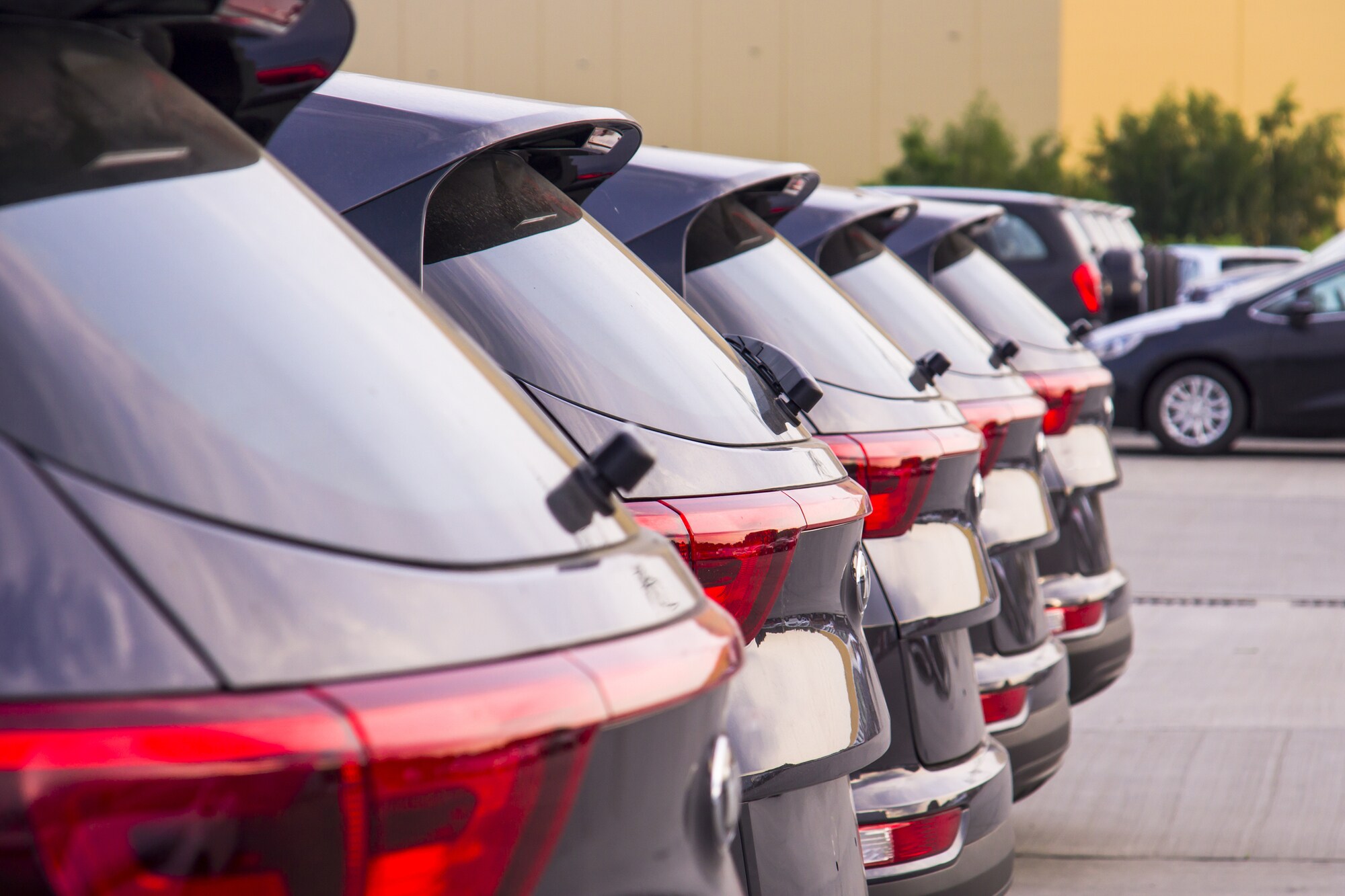 We Buy Cars | Cardinal Auto Sales