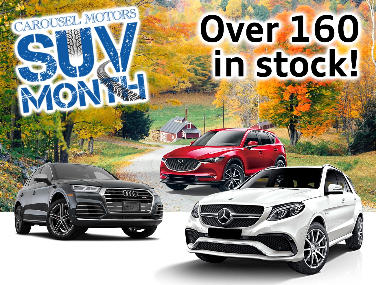 About | Carousel Motors