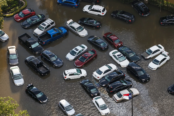 How to Spot Flood Damage When Shopping for a Used Car in Houston ...