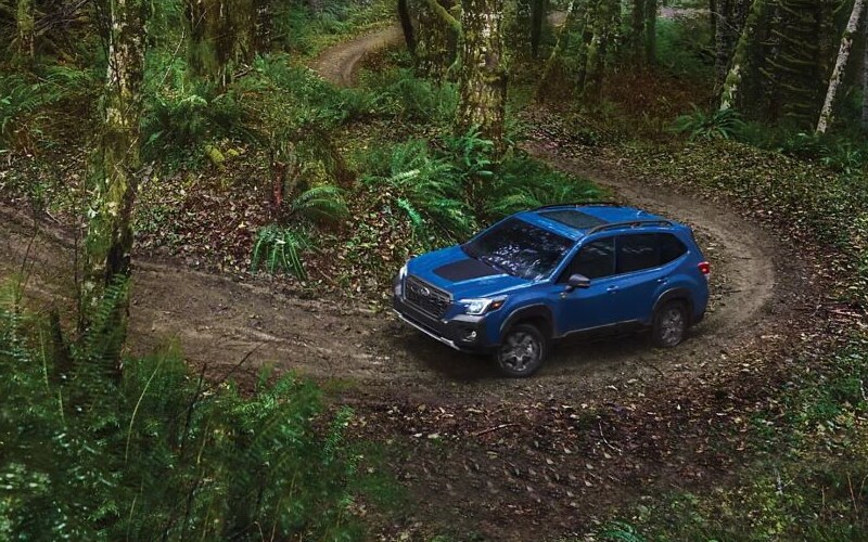 2023 Subaru Forester Review Norman OK | Cavender Subaru of Norman