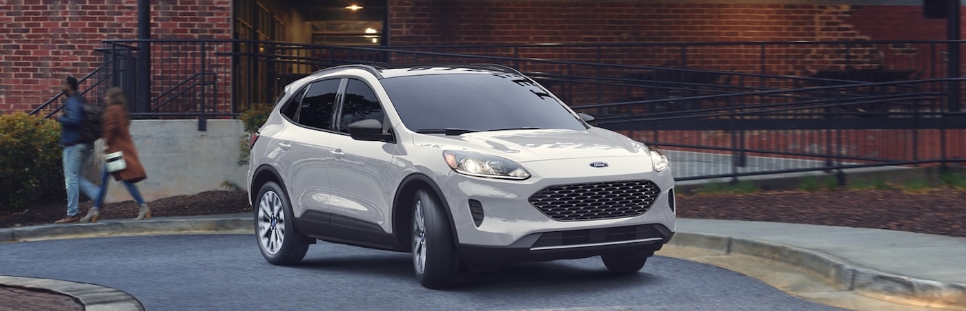 Basil Ford Community Involvement | Basil in the Community