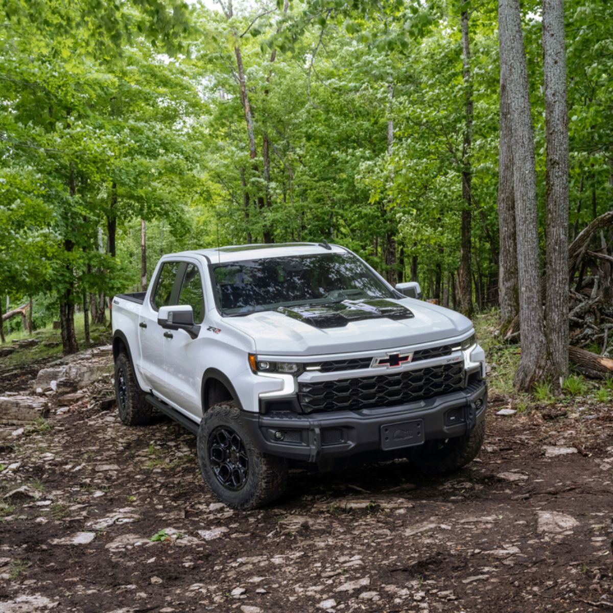 Silverado 1500 Sales Near Pharr, TX | Chevy Trucks in Texas