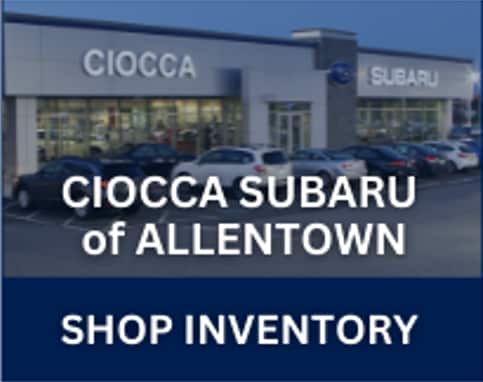 Subaru Locations | Ciocca Automotive
