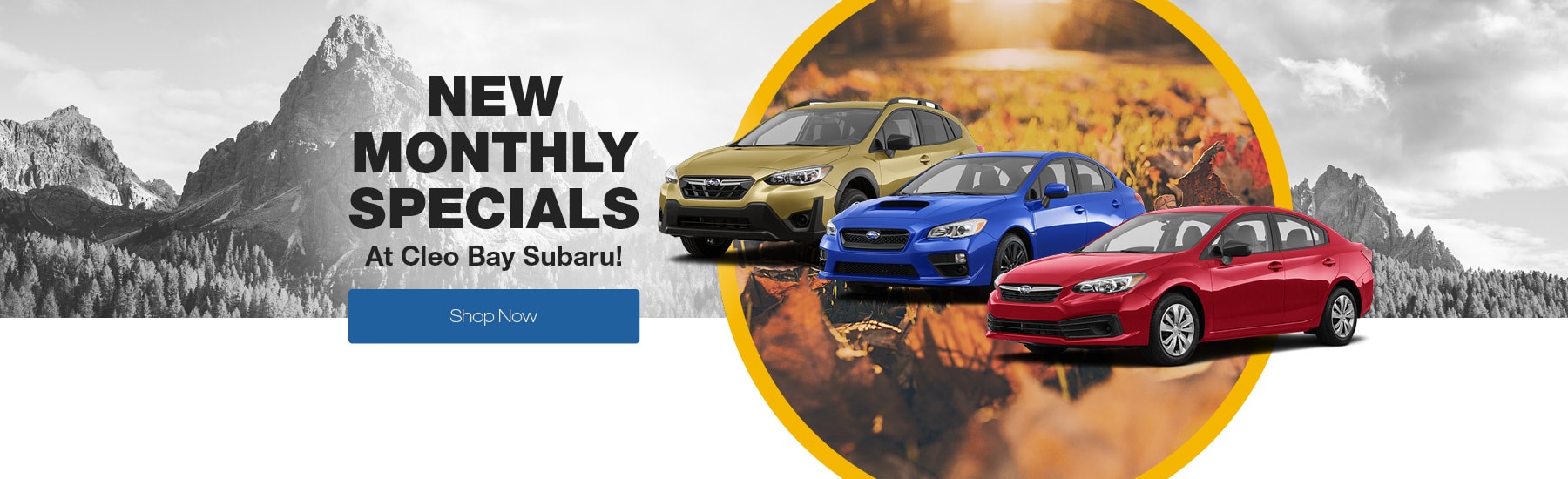New Subaru Dealer Serving Fort Hood & Temple | Cleo Bay Subaru ...