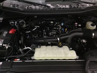 New 2019-2020 Ford Trucks, Cars, SUVs & Hatchback For Sale in Rochester, NY