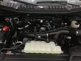 New 2019-2020 Ford Trucks, Cars, SUVs & Hatchback For Sale in Rochester, NY