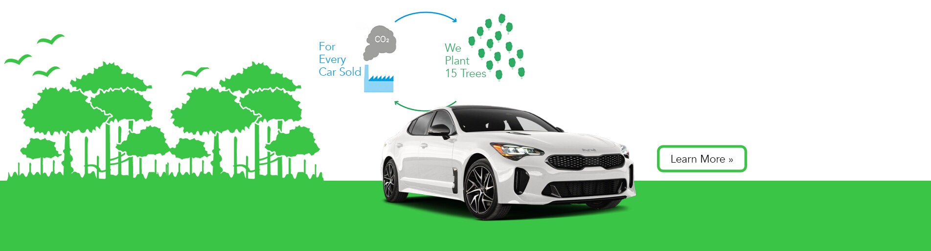 Kia Tampa | Kia Dealership Florida