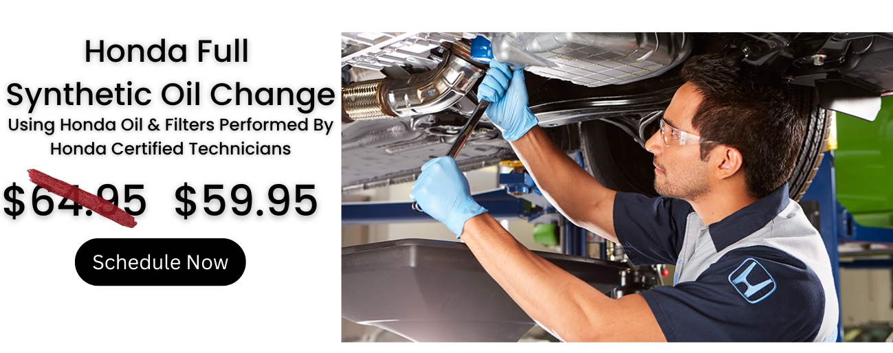 Honda Tampa FL | Honda Dealership Near Tampa Bay & Clearwater