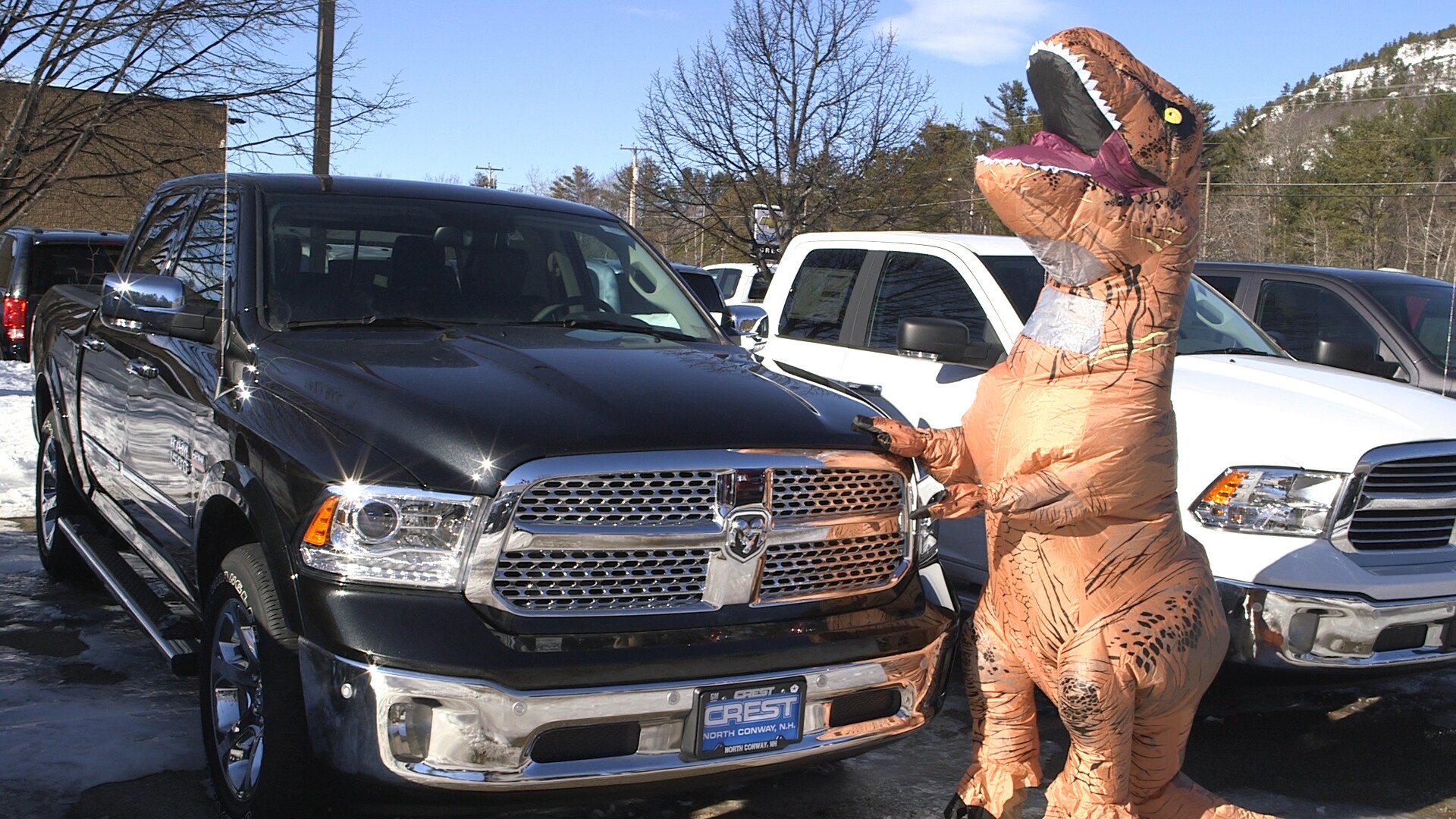 Meet Tyler Rex! | Crest Chrysler, Dodge, Jeep, Ram, FIAT