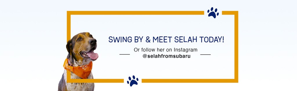 Crown Subaru | New Subaru Dealership in Chattanooga, TN