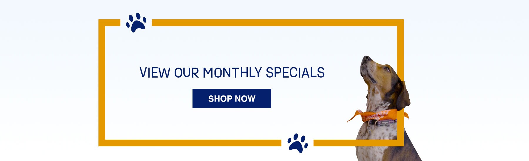 Crown Subaru | New Subaru Dealership in Chattanooga, TN