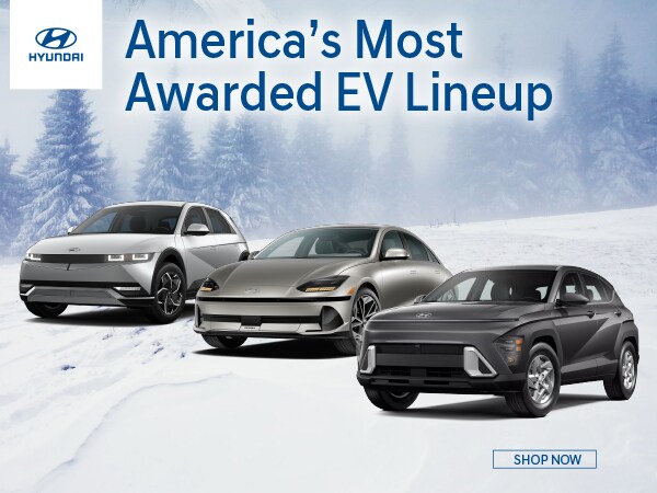 2021 ev lineup store