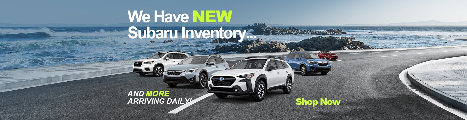 Darrell Waltrip Subaru | New & Used Subaru Dealer serving Franklin ...