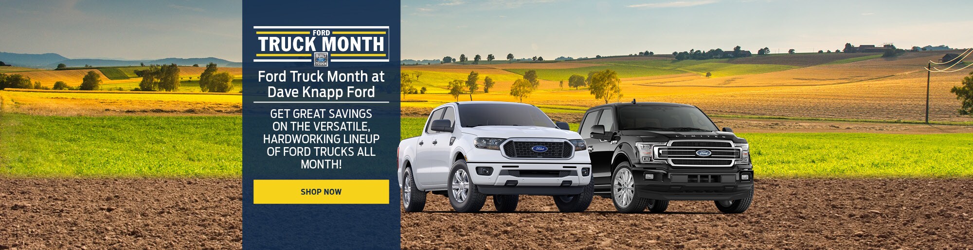 New 2019-2020 & Used Ford Cars & Trucks in Greenville | Dave Knapp Ford ...