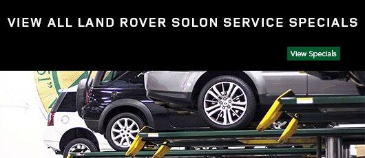 Service Specials | Davis Automotive Group