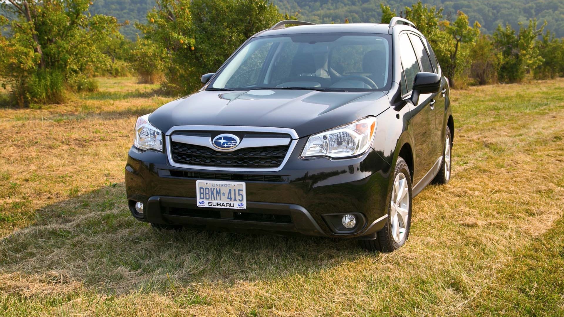 Used Subaru Forester Fort Collins | Dellenbach Motors