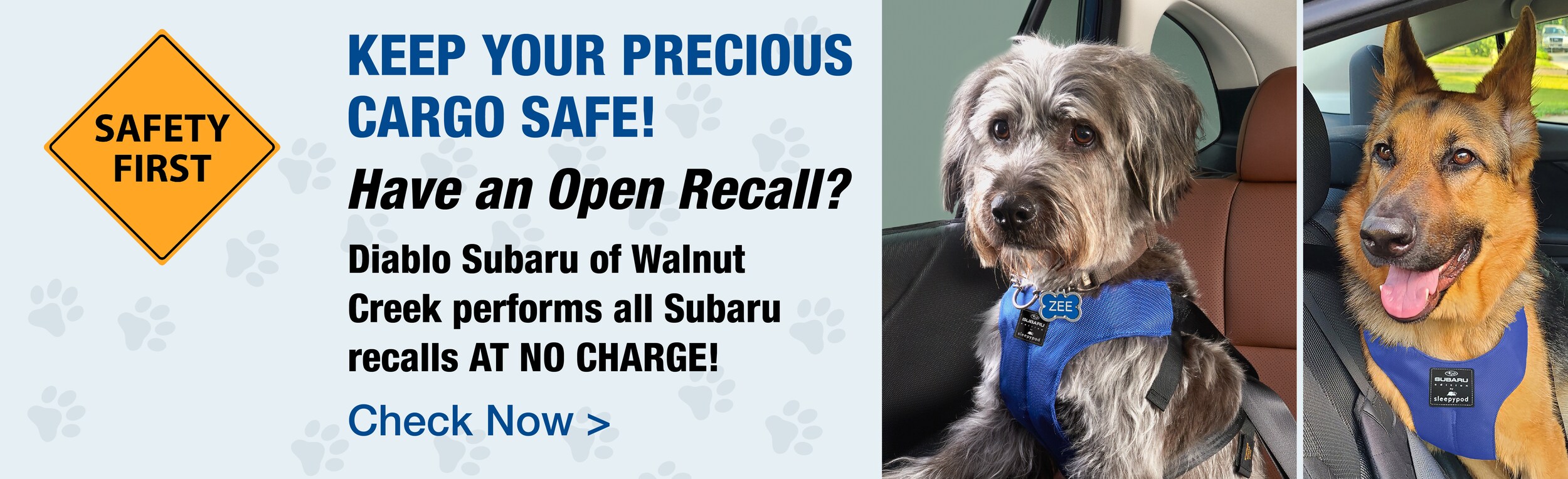 New Subaru & Used Car Dealer in Walnut Creek | Diablo Subaru of Walnut ...