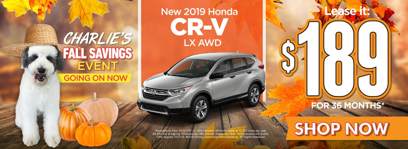 Bob Brady Honda, Decatur Honda New & Used Cars Central IL, Springfield ...