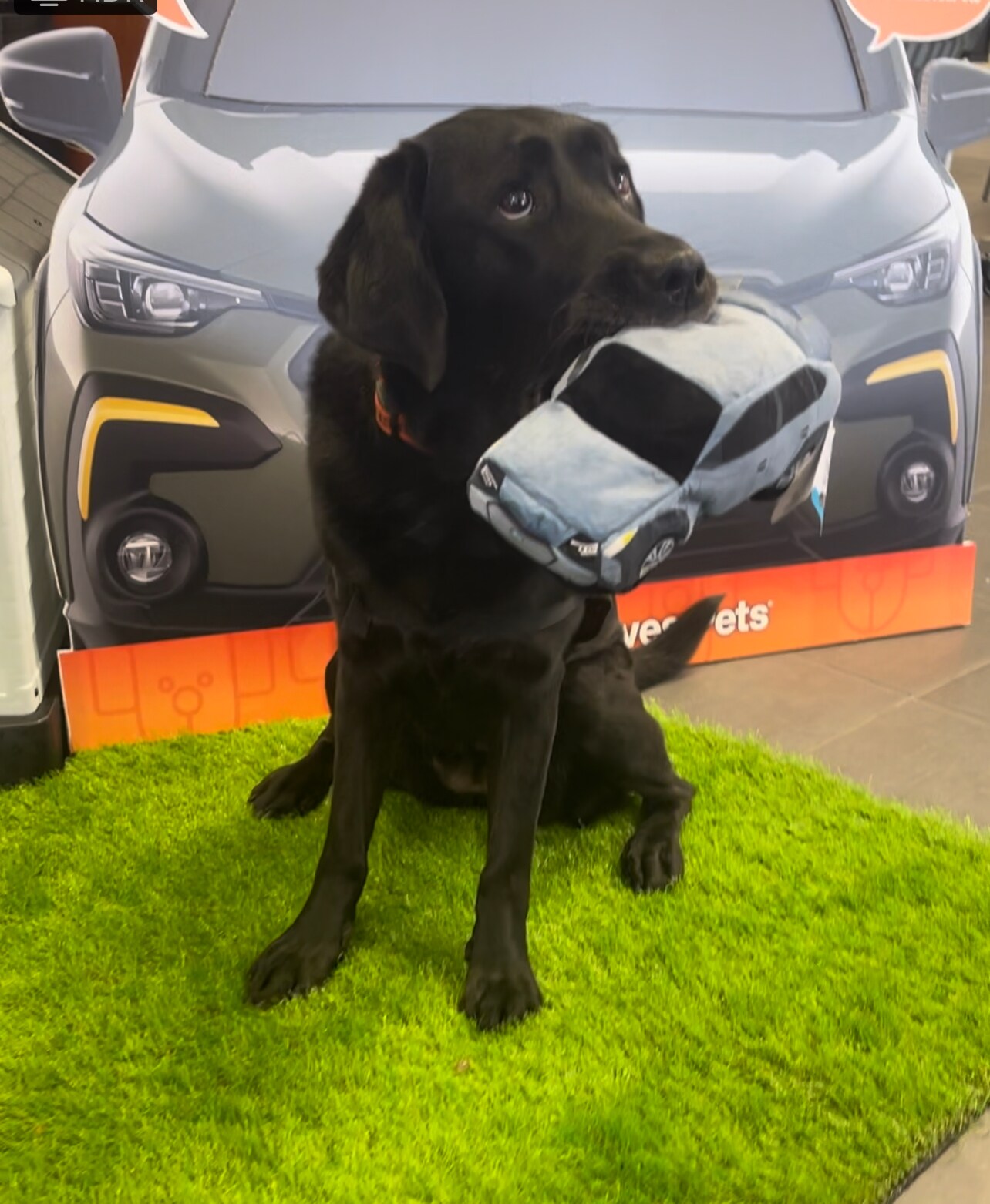 Ertle Loves Our Community | Ertle Subaru