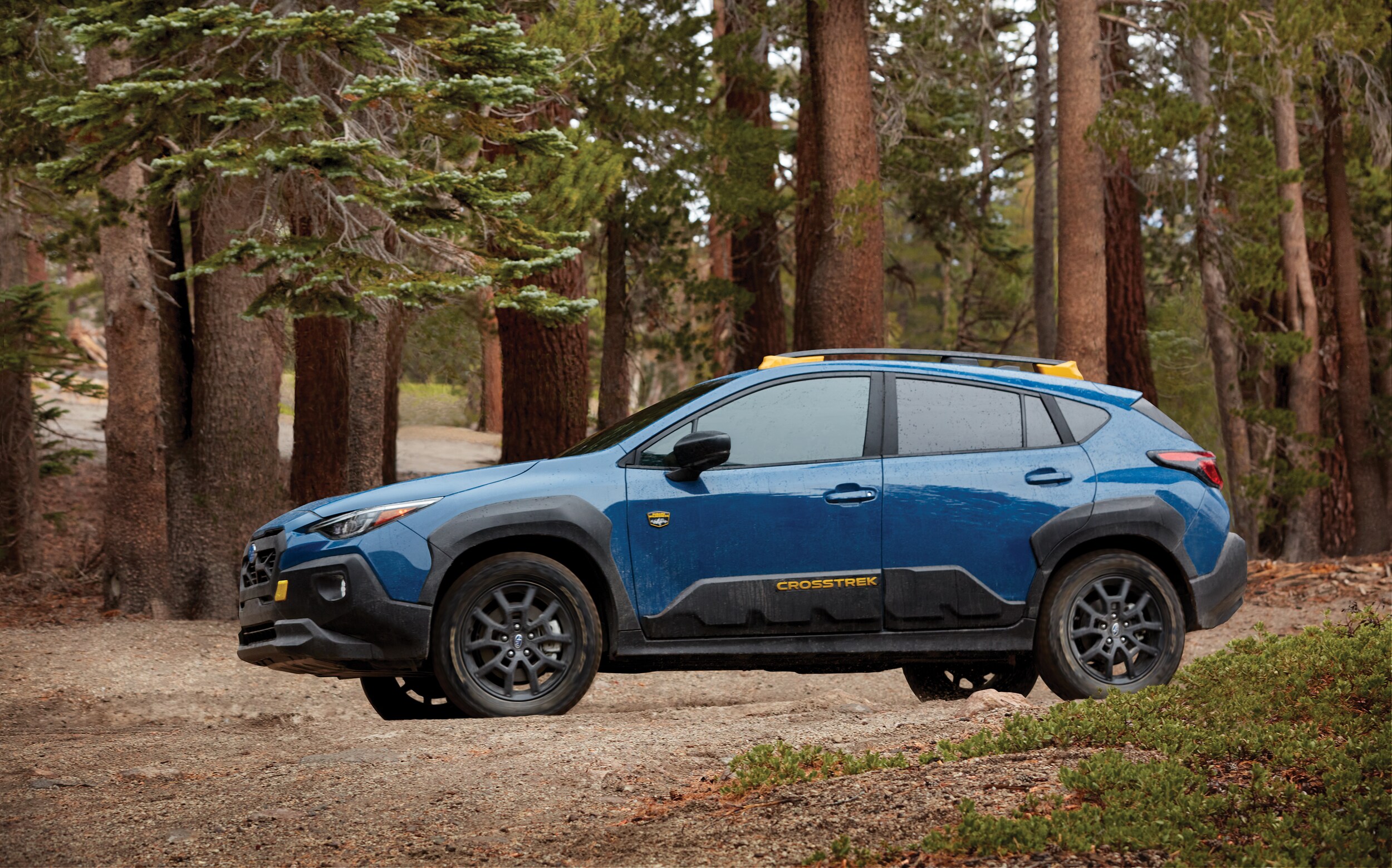 2024 Subaru Crosstrek Wilderness In Stratham NH | Exeter Subaru