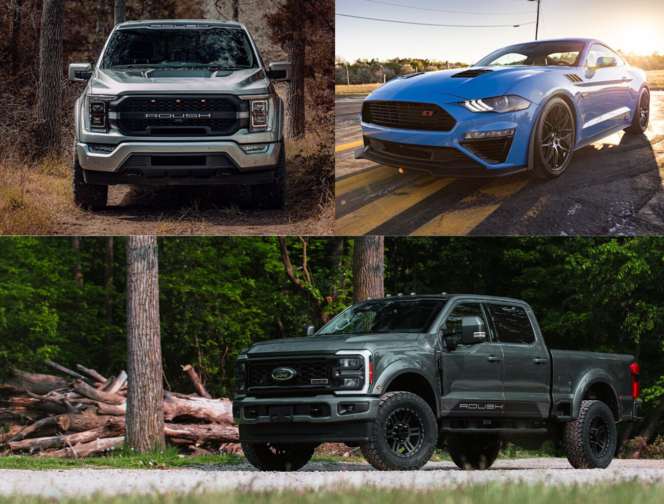 ROUSH Performance Vehicles For Sale in Edenton, NC | Feyer Ford of ...